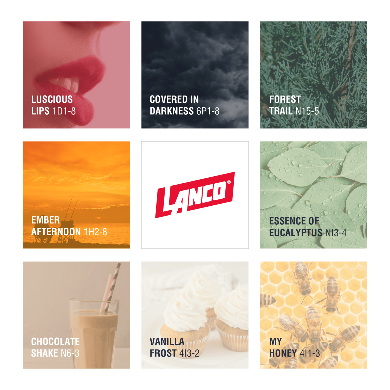 ¡Conoce más sobre nuestra paleta de colores Lanco 2023! - Color Expression