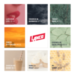 ¡Conoce más sobre nuestra paleta de colores Lanco 2023! - Color Expression