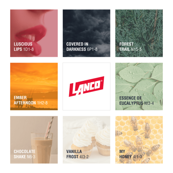¡Conoce más sobre nuestra paleta de colores Lanco 2023! - Color Expression