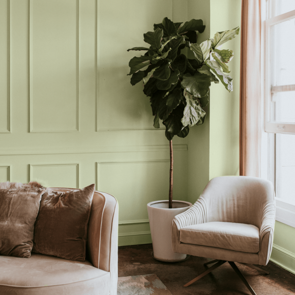 ¿Cómo usar colores profundos en mi decoración? - Color Expression