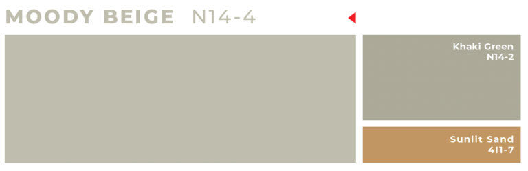 Te presentamos nuestra Paleta Lanco 2025 - Color Expression