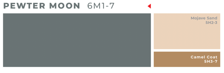 Te presentamos nuestra Paleta Lanco 2025 - Color Expression