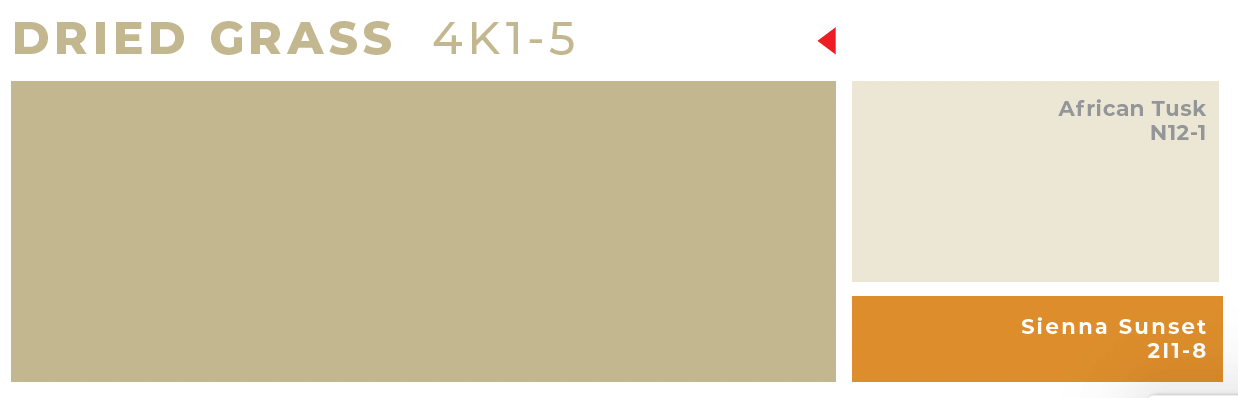 Te presentamos nuestra Paleta Lanco 2025 - Color Expression