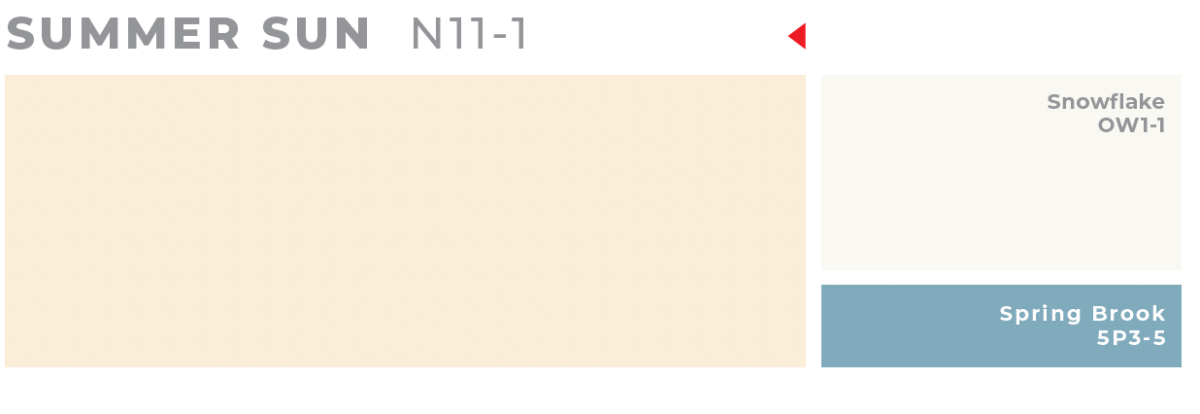 Te presentamos nuestra Paleta Lanco 2025 - Color Expression